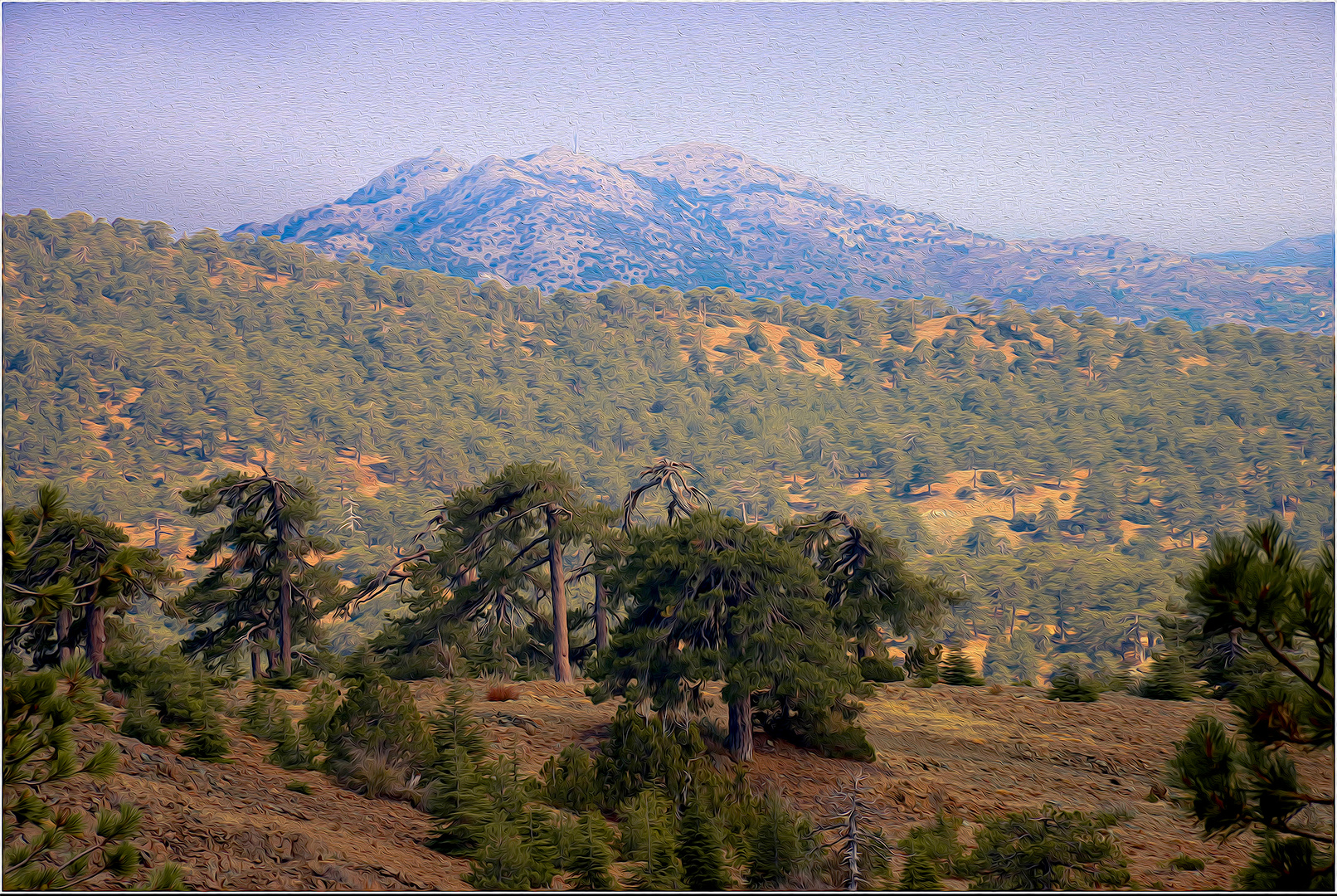 Der Gipfel Foto & Bild | wald, dokumentation, bäume Bilder auf ...