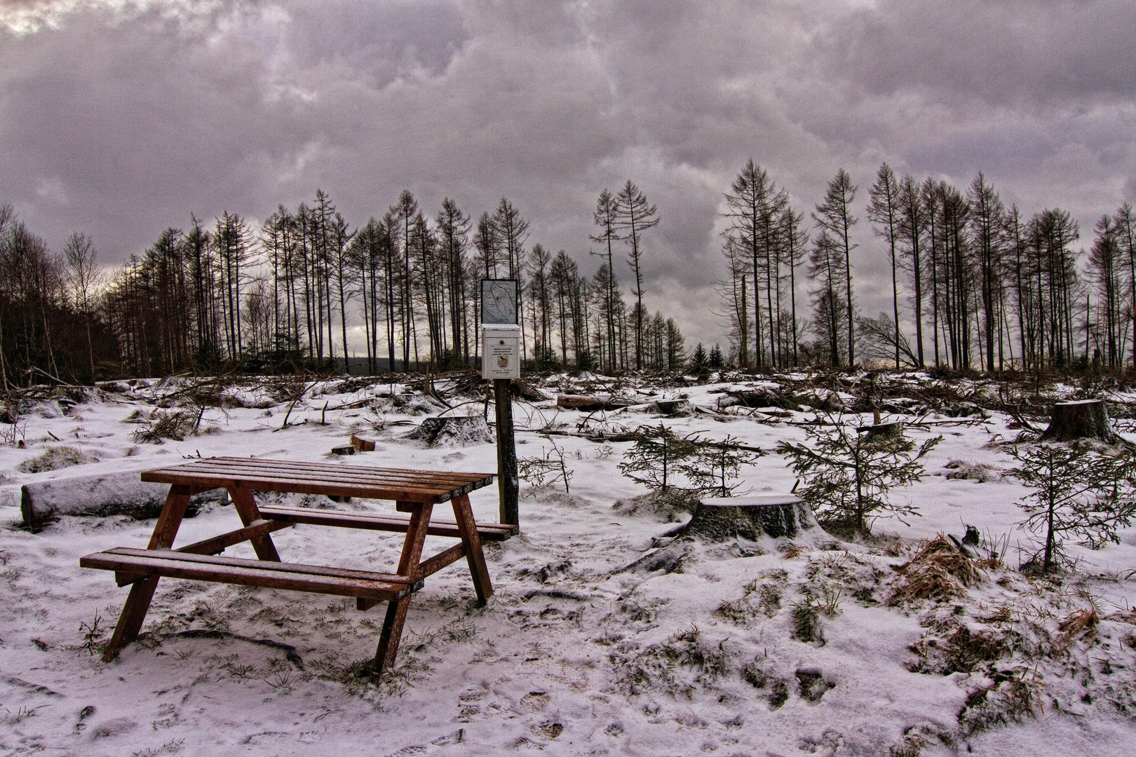 Der Gipfel ist erreicht Foto & Bild | canon, wald, outdoor Bilder auf ...