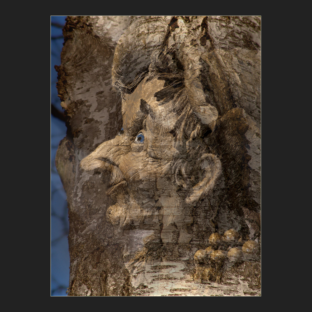 Der Gnom im Birkenstamm Foto & Bild | fotomontage, fantasy mystery ...