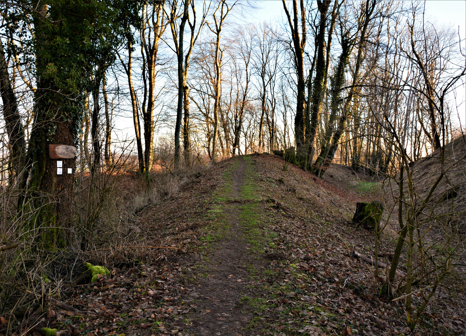 Der Grad Weg Foto & Bild | deutschland, europe, saarland Bilder auf ...