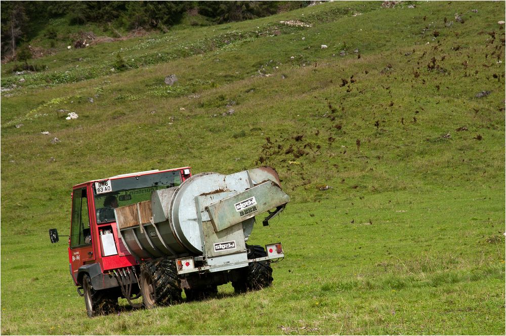 Der große Wurf .... Foto & Bild | gesellschaft und soziales, specials ...