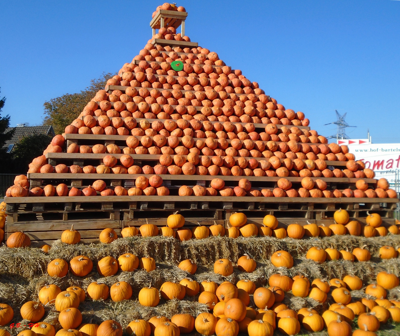 ...der grüne Punkt ...... Foto & Bild | quatsch, fun und rätselecke ...