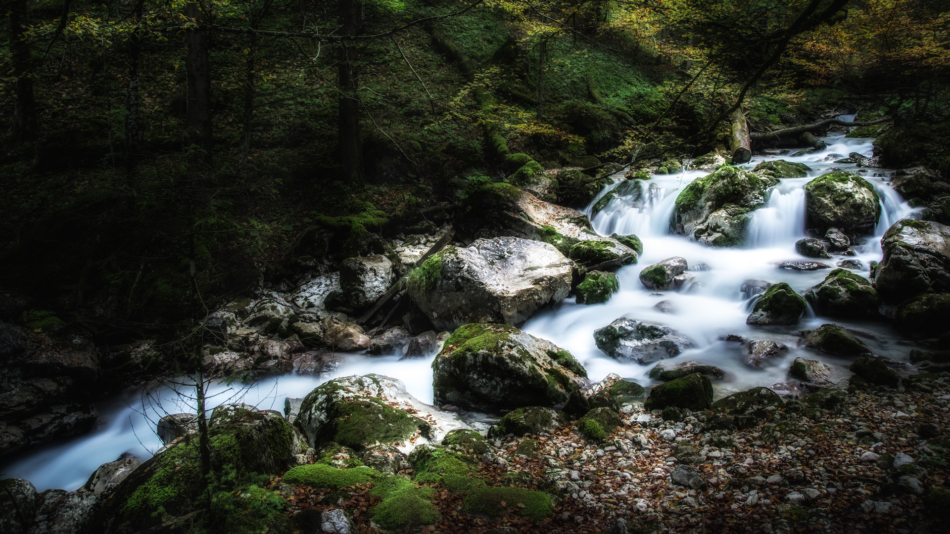 Der Hammersbach Foto & Bild | landschaft, bach, fluss & see, wald ...