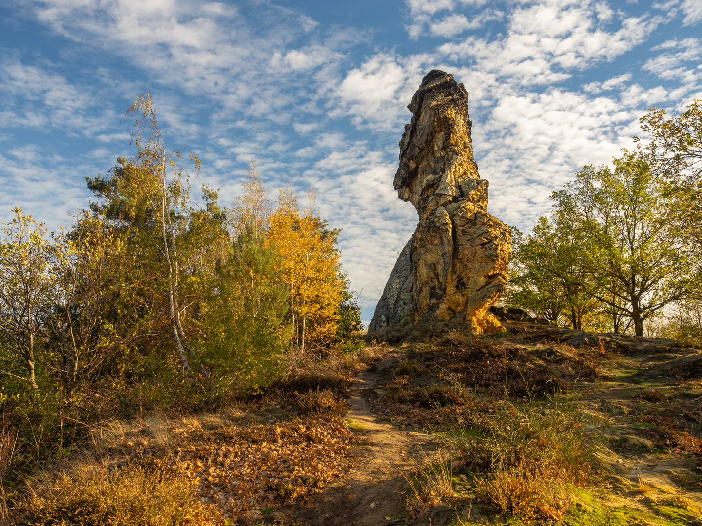 Der Harz im Herbst (1) Foto & Bild | world, bäume, natur Bilder auf ...