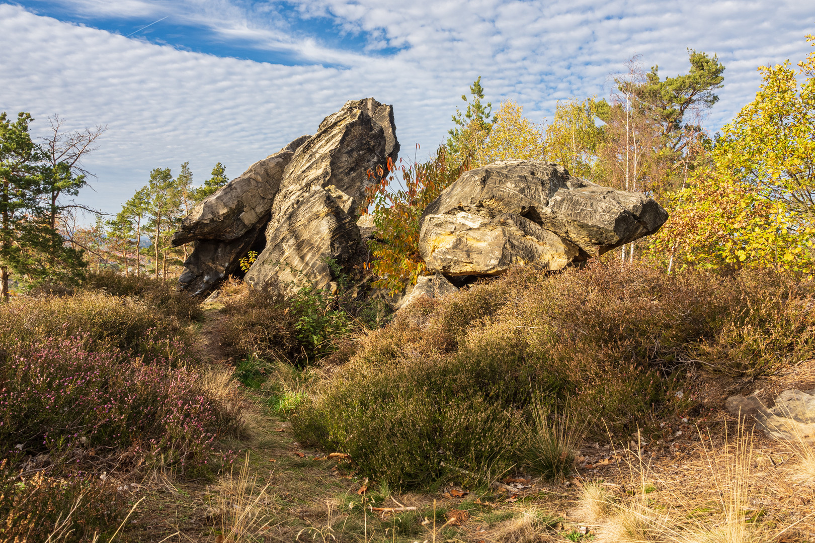 Der Harz im Herbst (3) Foto & Bild | fotos, natur, landschaft Bilder ...
