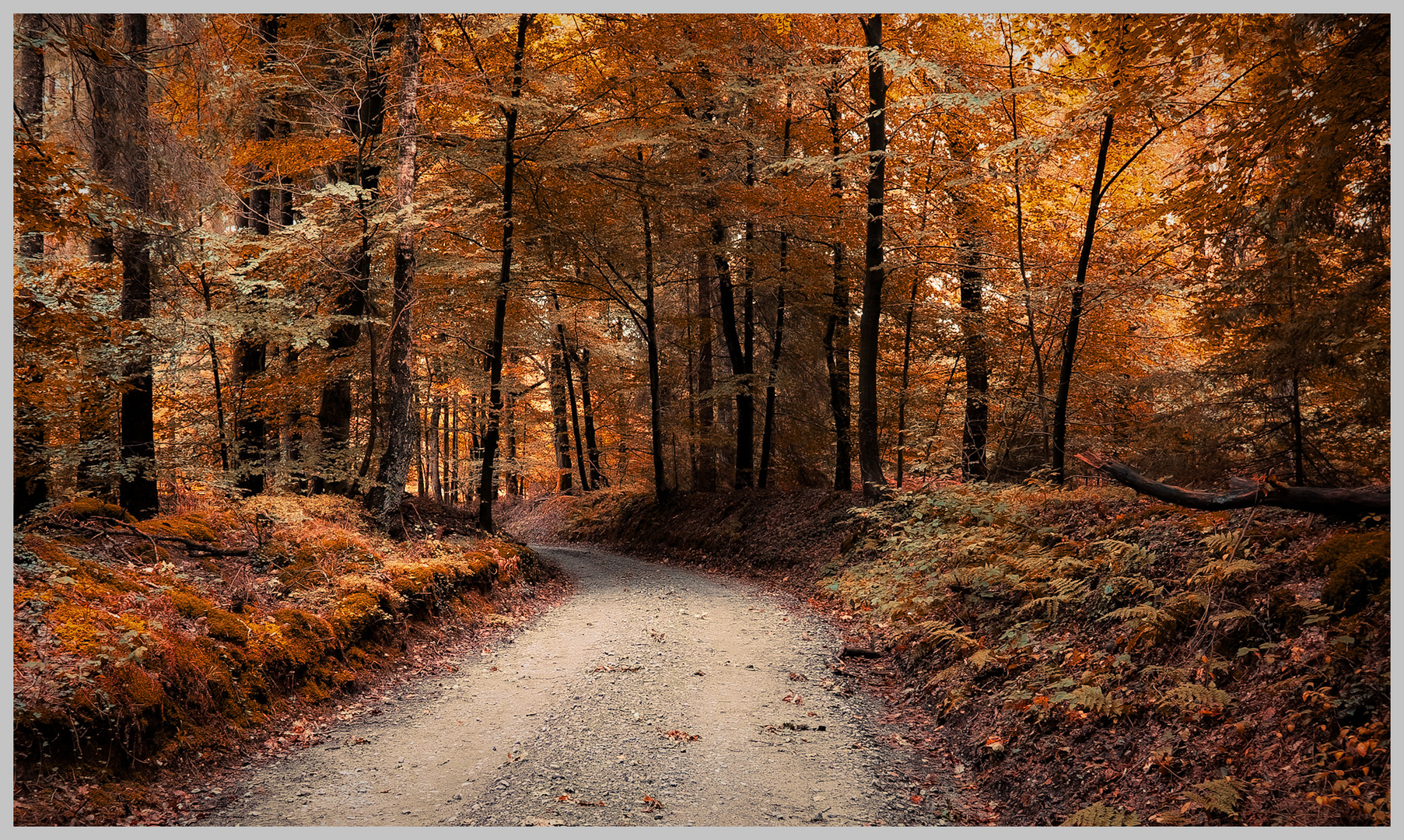 Der Herbst ist… Foto & Bild | landschaft, jahreszeiten, herbst Bilder auf fotocommunity