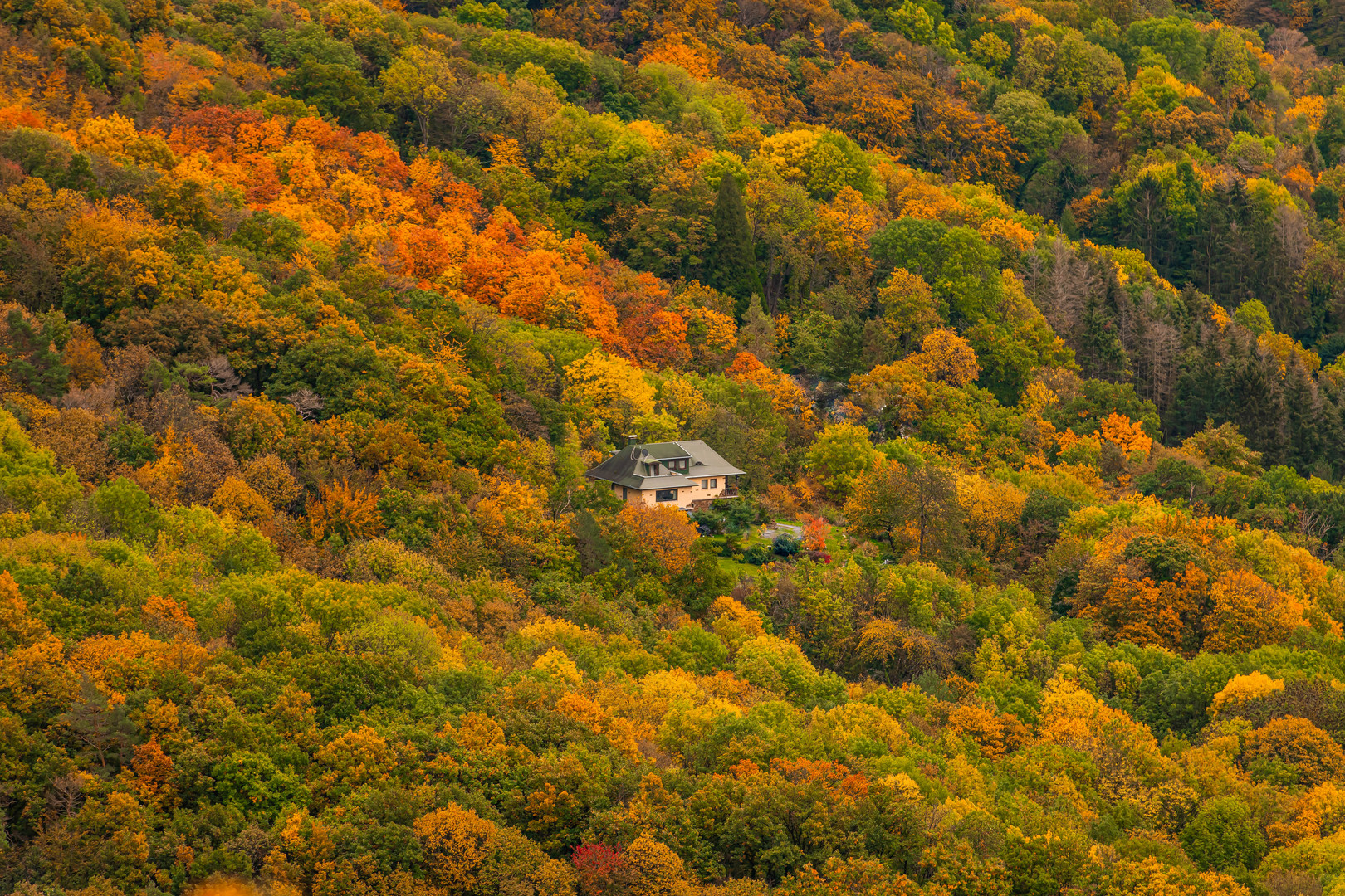 Der Herbst ist da Foto & Bild | landschaft, jahreszeiten, herbst Bilder auf fotocommunity