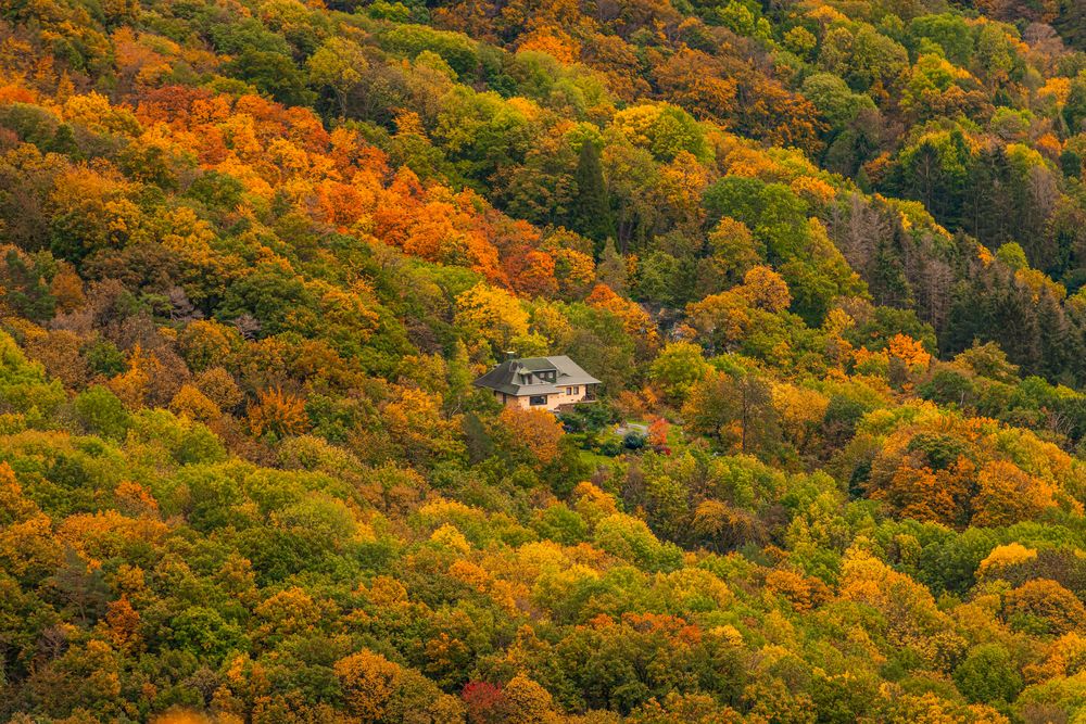 Der Herbst ist da Foto & Bild | landschaft, jahreszeiten, herbst Bilder auf fotocommunity