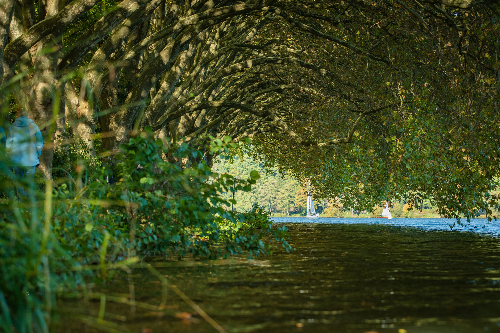 der Herbst ist da Foto & Bild | landschaft, jahreszeiten, wald Bilder auf fotocommunity