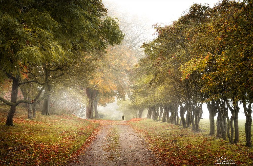 der Herbst kommt Foto & Bild | landschaft, jahreszeiten, herbst Bilder auf fotocommunity