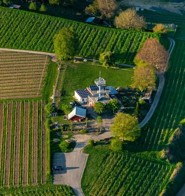 Ettenheim Bilder & Fotos