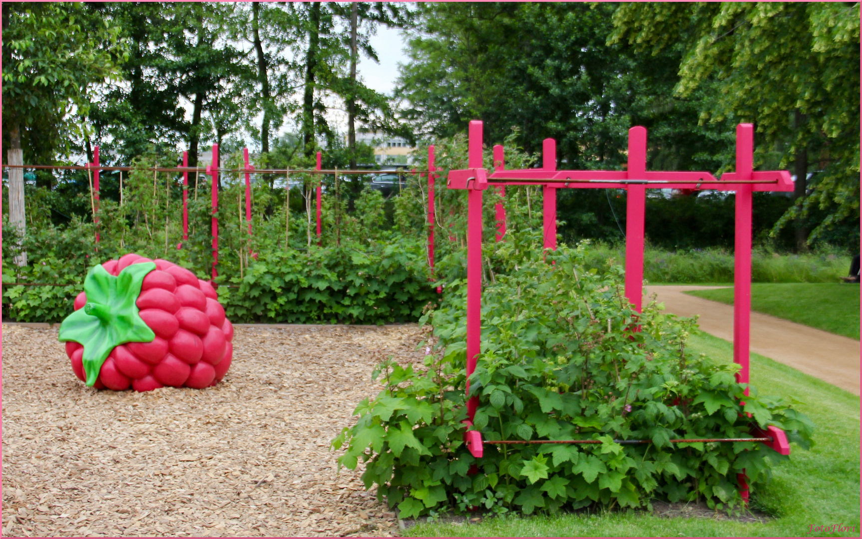 Der Himbeergarten Foto & Bild | world, brandenburg, natur Bilder auf ...