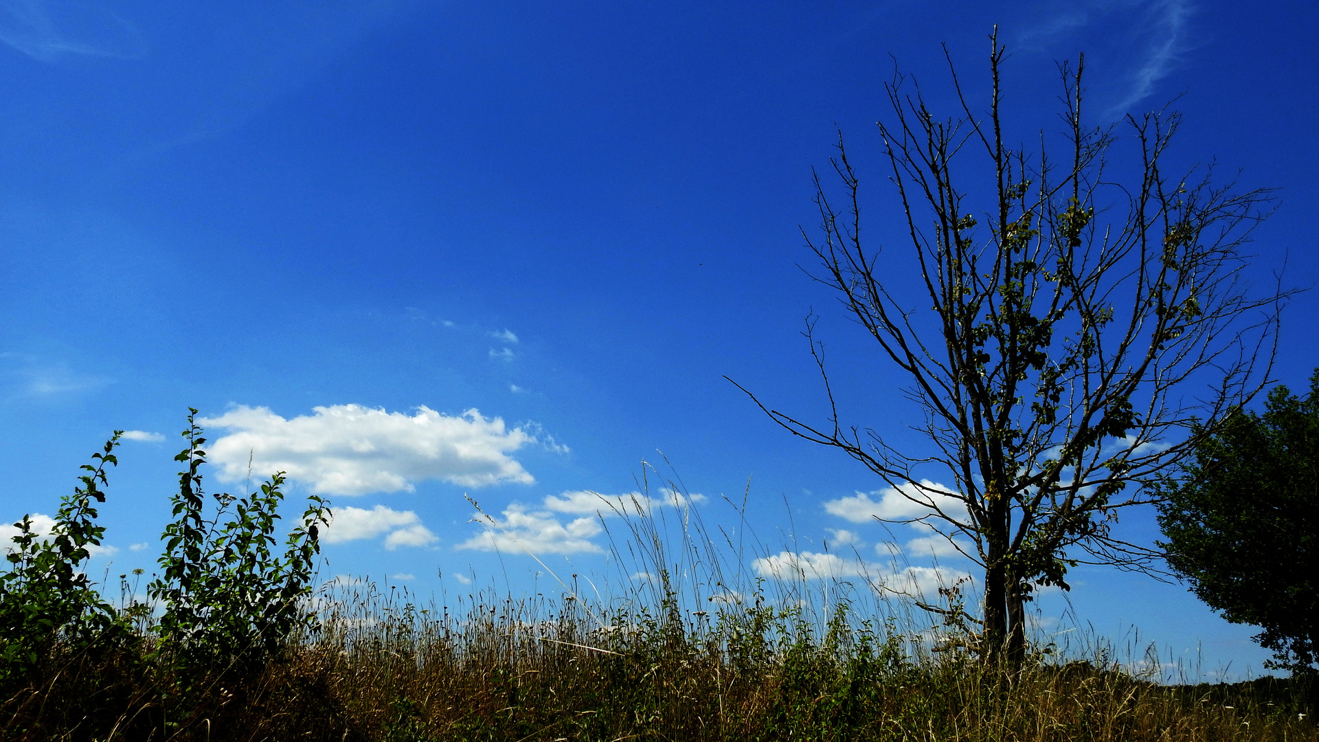 der Himmel Foto & Bild | himmel, himmel & universum, landschaft Bilder ...