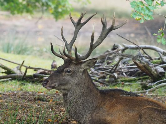 Anfängerecke - nachgefragt Bilder & Fotos
