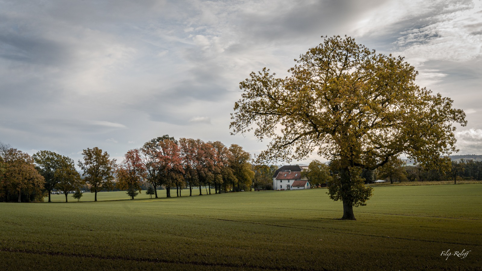 Der Hof Foto & Bild | landschaft, Äcker, felder & wiesen, bäume Bilder ...