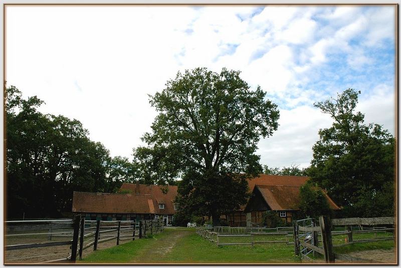 der Hof Foto & Bild | anfängerecke - nachgefragt, nachgefragt ...