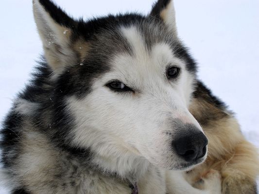 Sweden Bilder & Fotos