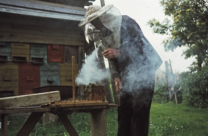 Der Imker Foto & Bild | portrait, portraitfotografie männer ...