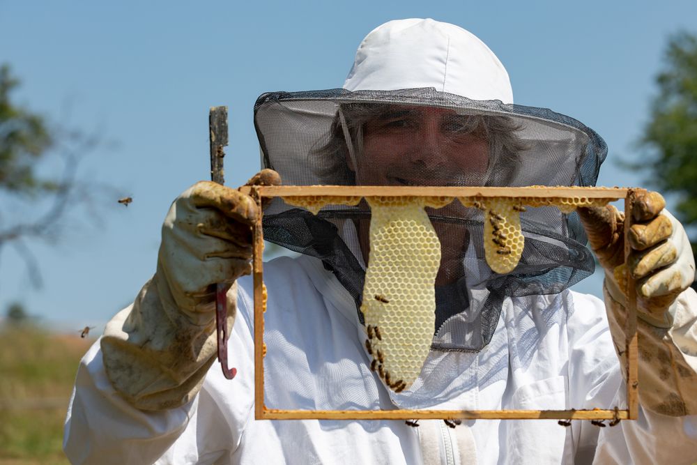 Der Imker Foto & Bild | tiere, jahreszeiten, sommer Bilder auf ...