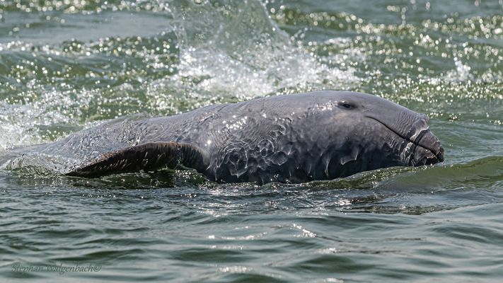 Cambodia Bilder & Fotos