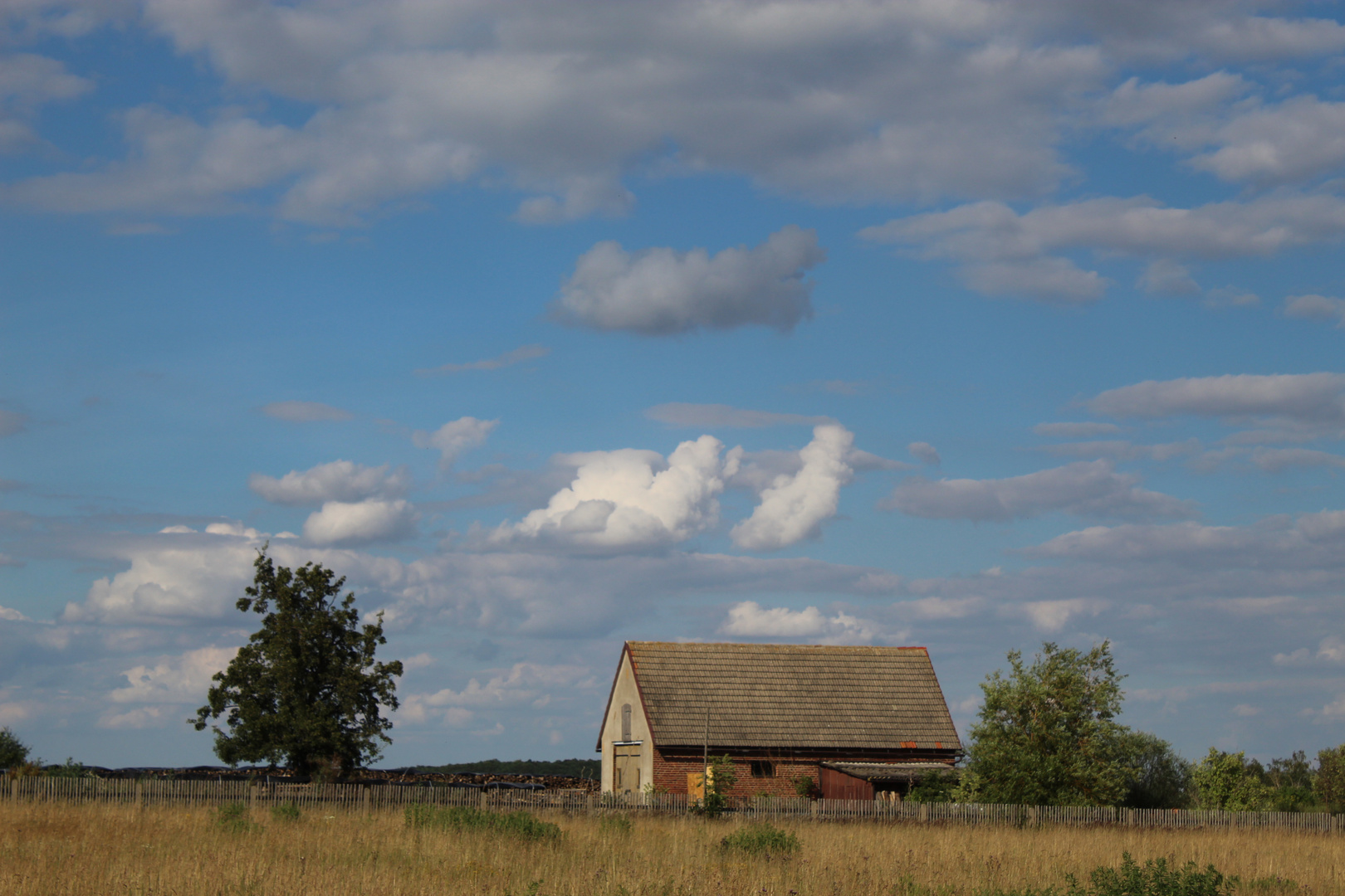der Juli beginnt schon wieder heiß und trocken Foto & Bild ...