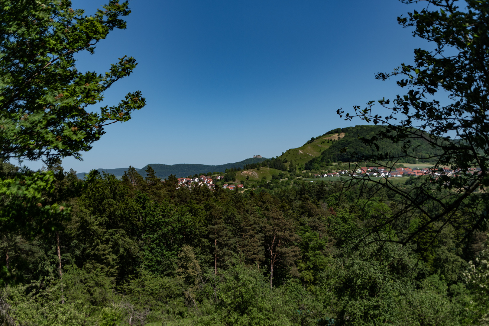 Der Jusi am Albtrauf Foto & Bild | wald, natur, landschaft Bilder auf ...