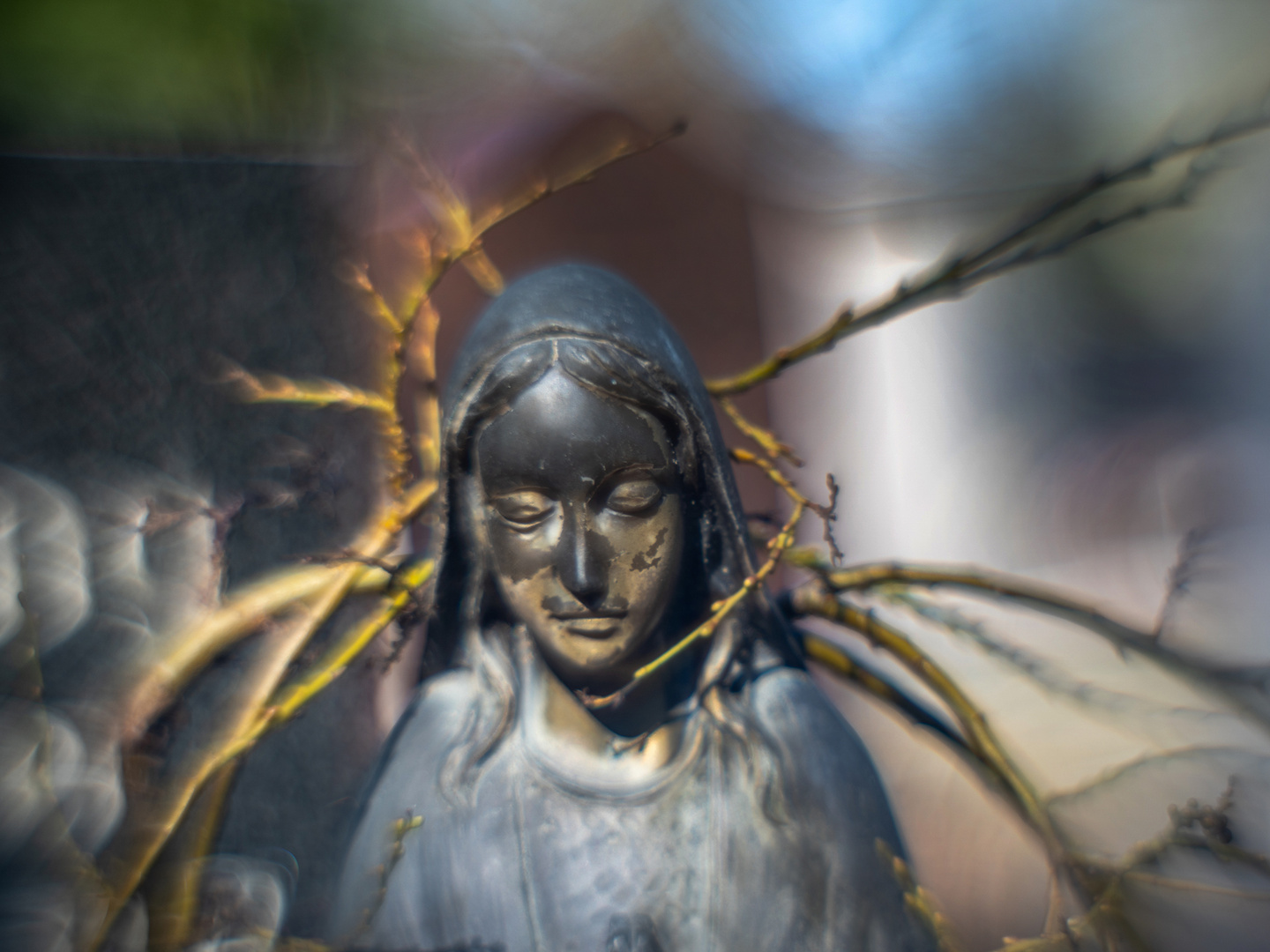 Der Kampf... Foto & Bild | spezial, dokumentation, bokeh Bilder auf ...