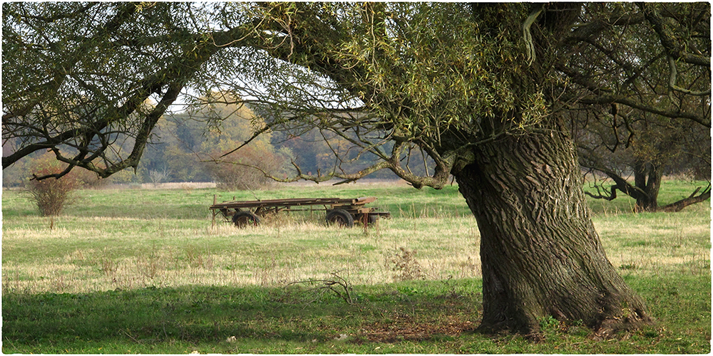 Der Karren Foto & Bild | landschaft, Äcker, felder & wiesen, natur ...