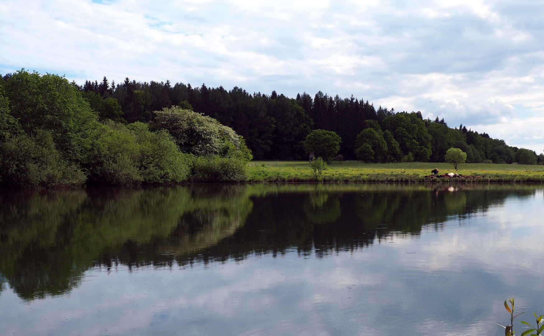 Der Keil Foto & Bild | wasser, wolken, himmel Bilder auf fotocommunity