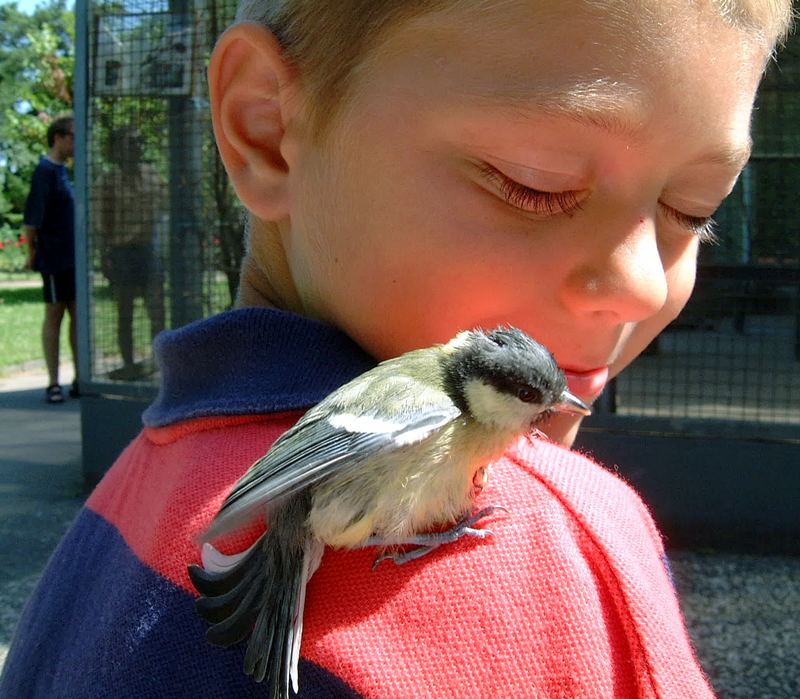 Der Kerl hat doch ne Meise...... Foto & Bild | jugend, outdoor ...