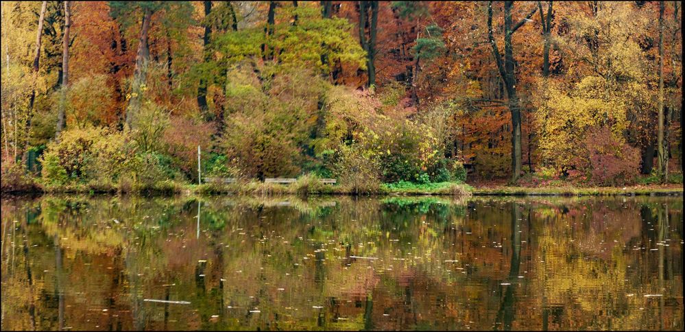 Der kleine Waldsee Foto & Bild | natur, landschaft, see herbst Bilder ...