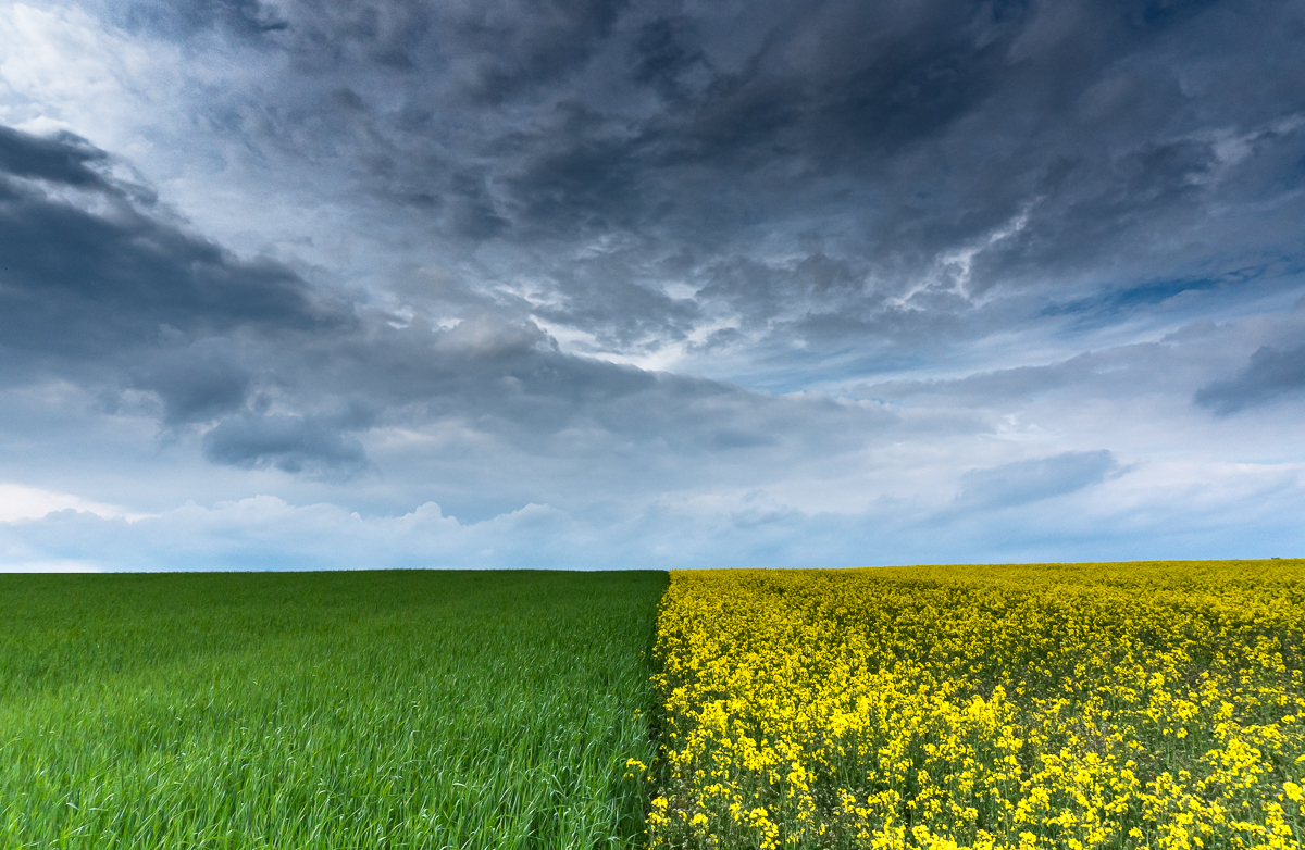 Der Kontrast Foto & Bild | world, wolken, grün Bilder auf fotocommunity