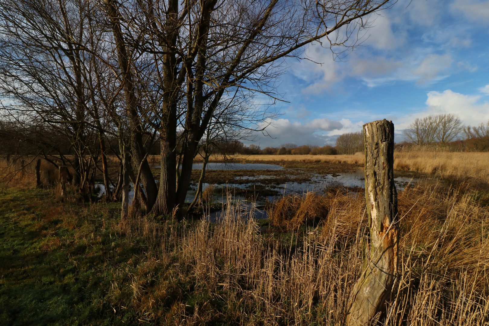 Der krumme Pfahl Foto & Bild | landschaften, wasser, februar Bilder auf ...
