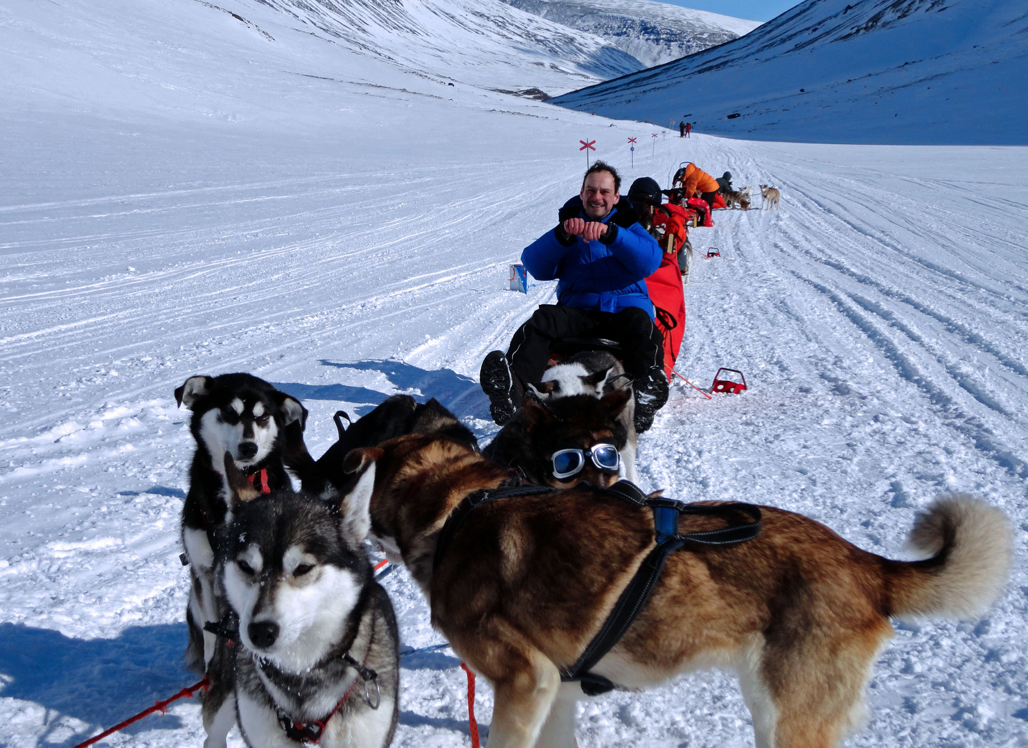 Der Kutscher (Musher)............ Foto & Bild | sport, sport mit tieren ...
