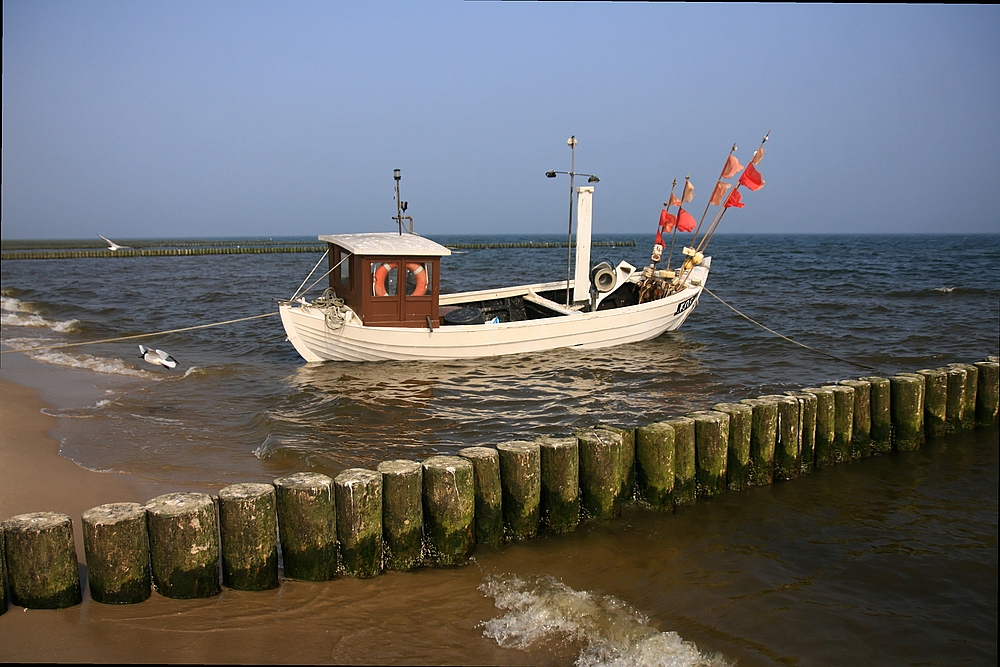 Der Kutter in Koserow... Foto & Bild | deutschland, europe, mecklenburg ...