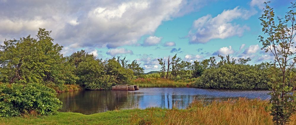 Der Lange Fisch (Dlouhy ryb) im Böhmischen Teil von Zinnwald Foto ...