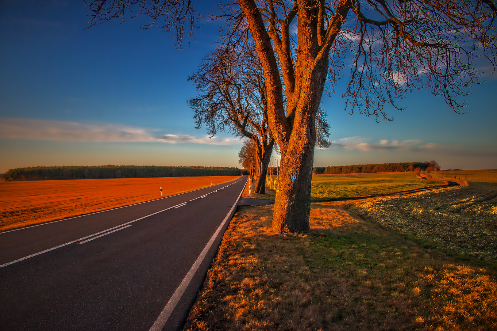 Der lange Weg Foto & Bild | deutschland, europe, brandenburg Bilder auf ...