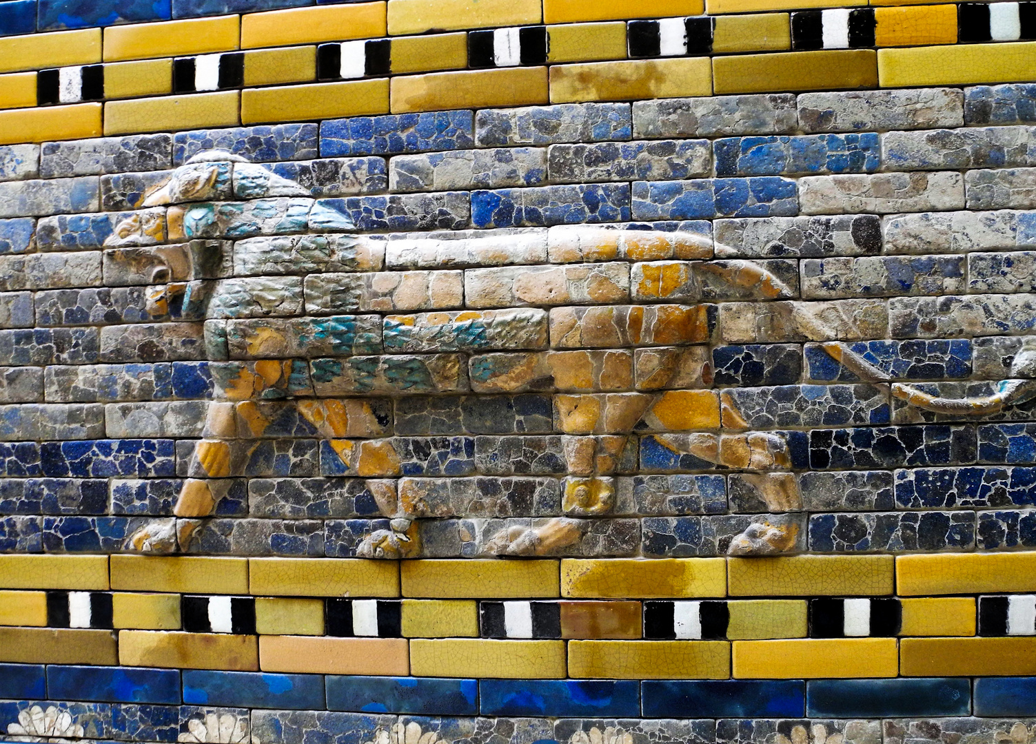 Der Löwe Foto & Bild | reportage dokumentation, kunstfotografie ...