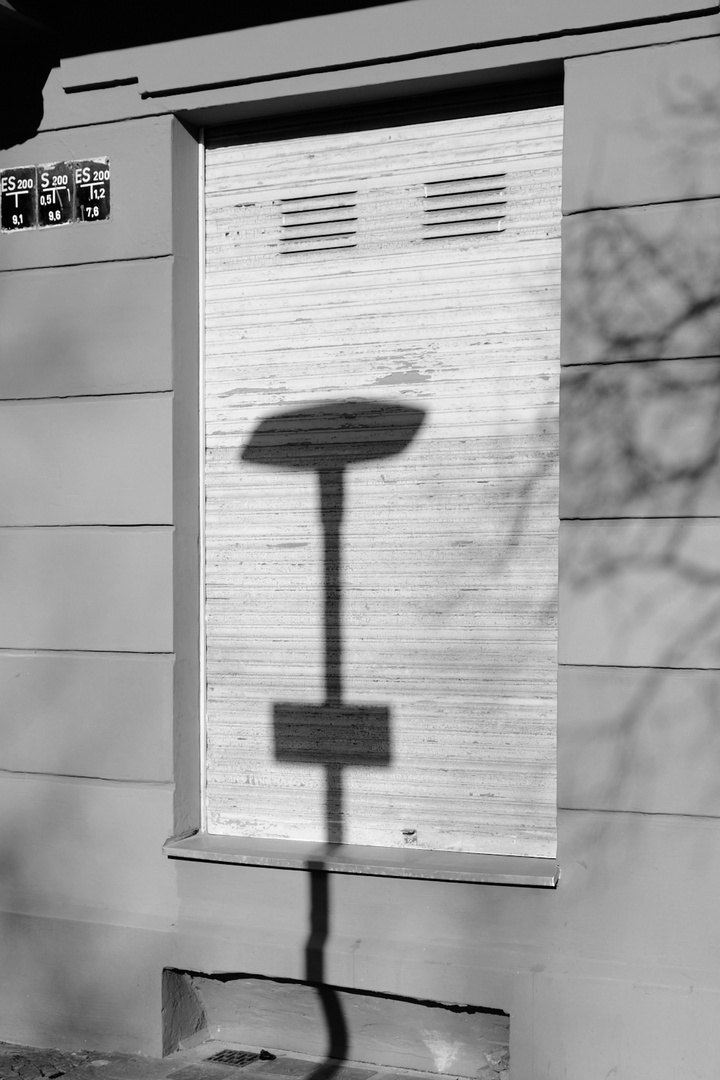 Der Löwe Foto & Bild | abstraktes, stillleben, zufällige arrangements ...