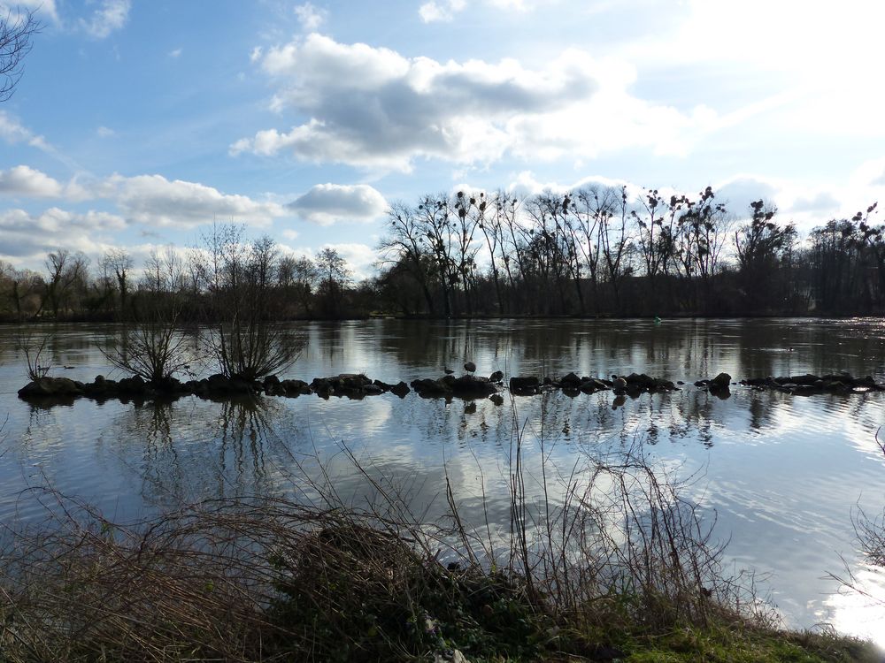 Der Main ... Foto & Bild | landschaft, bach, fluss & see, natur Bilder ...