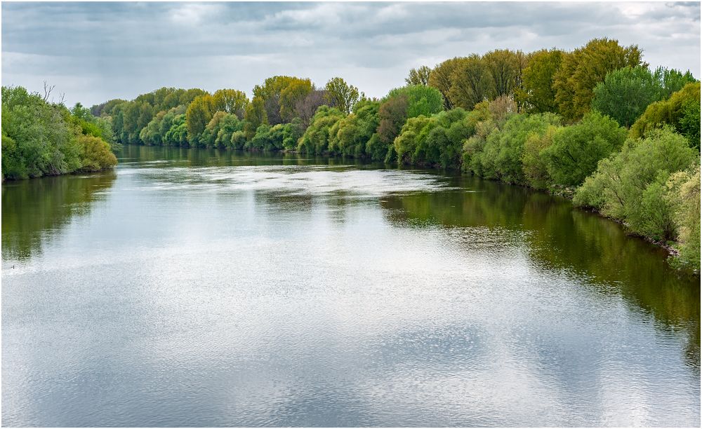 "Der Main" - kurz hinter der Staustufe Eddersheim Foto & Bild ...