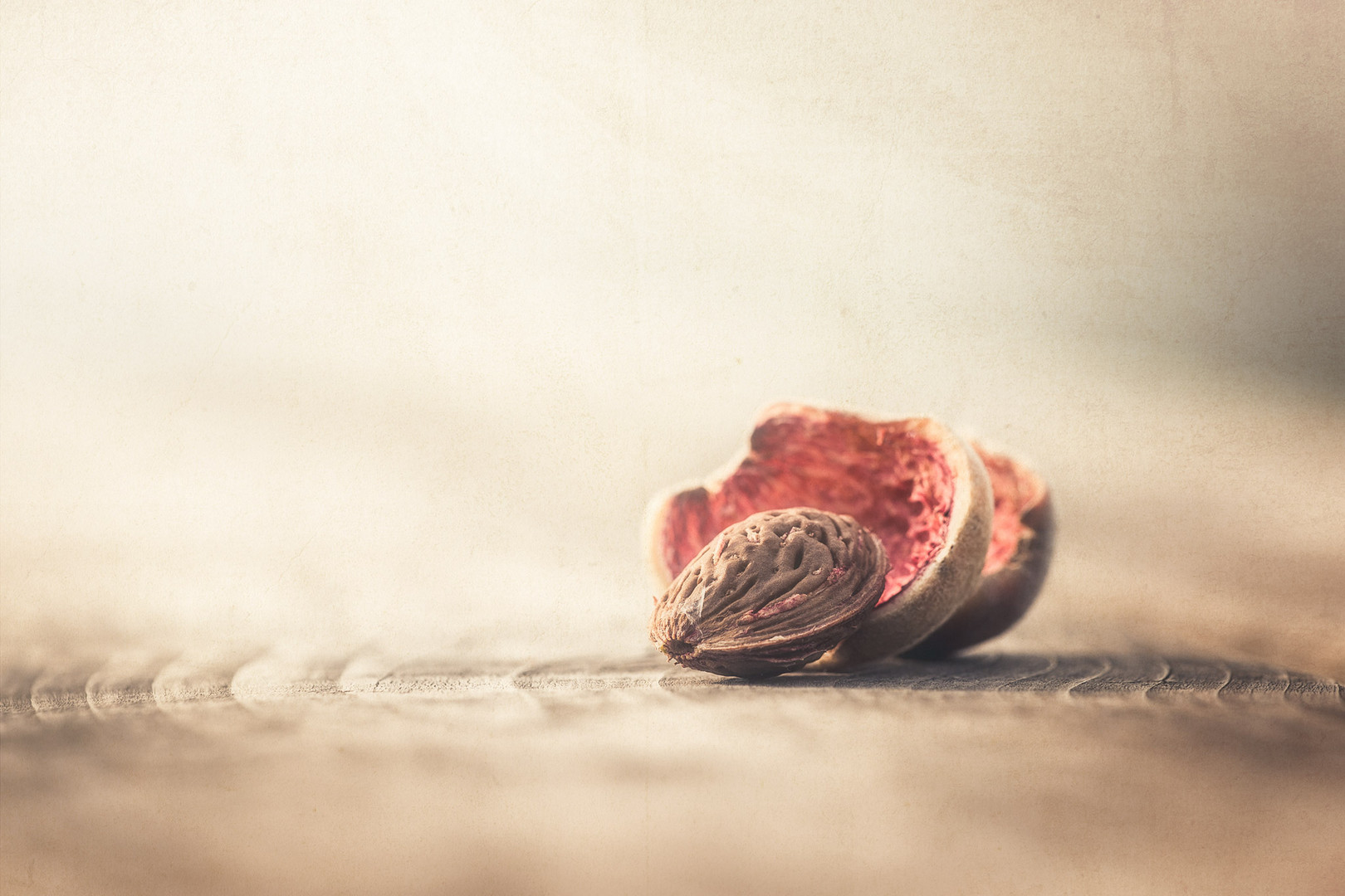 der Mandelkern ... Foto & Bild | baum, licht, natur Bilder auf ...