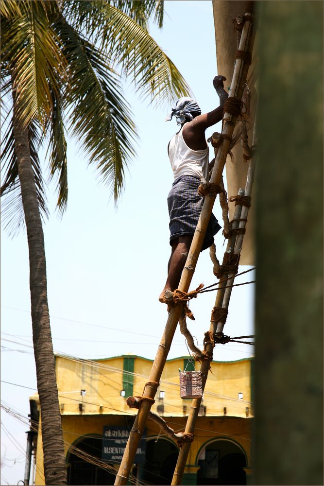 Der Mann auf der Leiter Foto & Bild | erwachsene menschen, asia, india ...