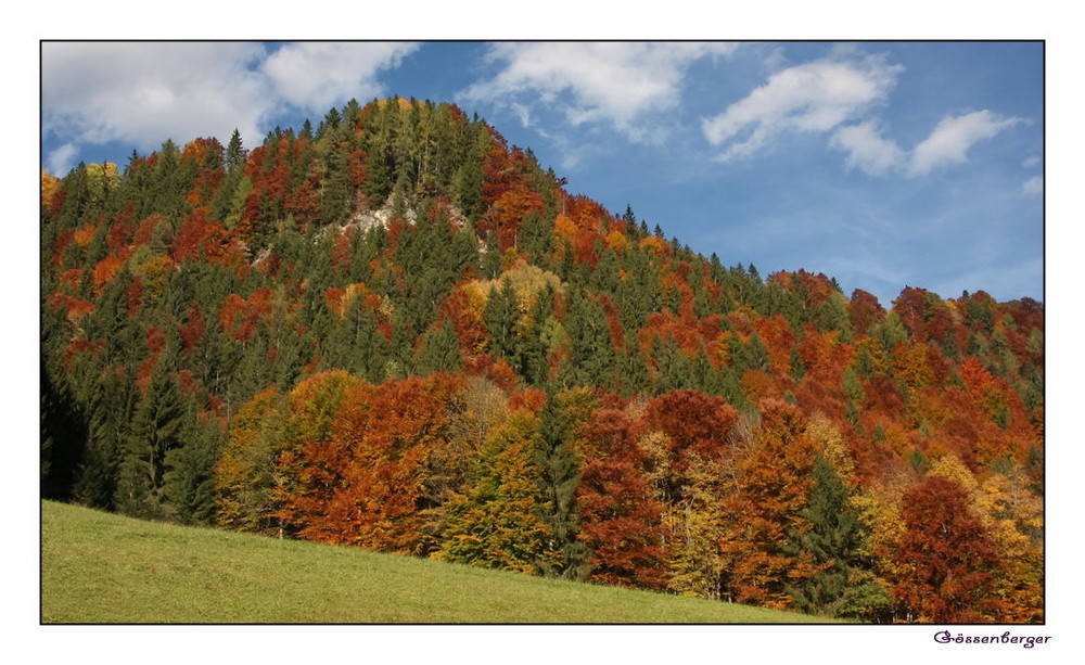 Der Mischwald zeigt seine Farbe Foto & Bild | jahreszeiten, herbst ...