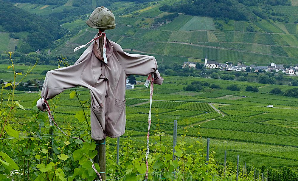 Der mit dem Hut Foto & Bild | quatsch, fun und rätselecke, deutschland ...