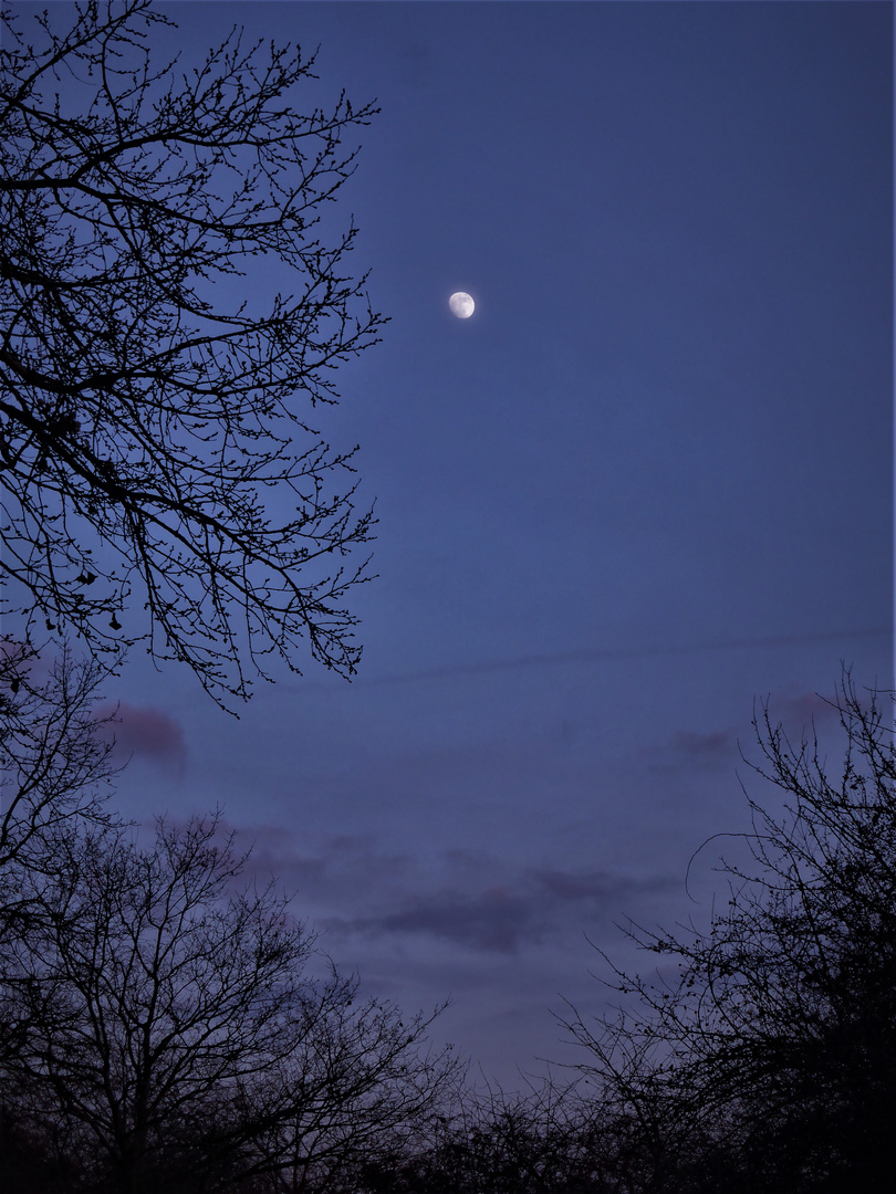 Der Mond am Abendhimmel Foto & Bild | himmel & universum, blaue stunde ... Der Mond am Abendhimmel Foto & Bild | himmel & universum, blaue stunde ...