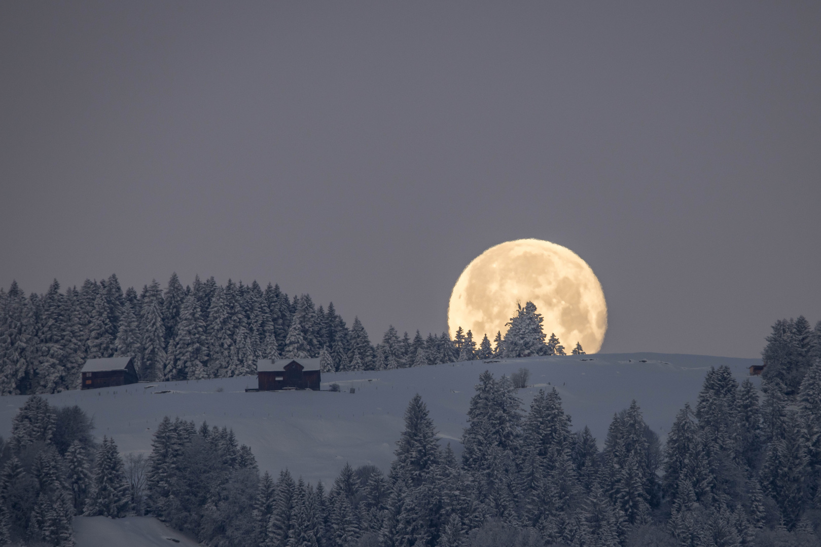 Der Mond........... Foto & Bild | winter, schnee, baum Bilder auf ...