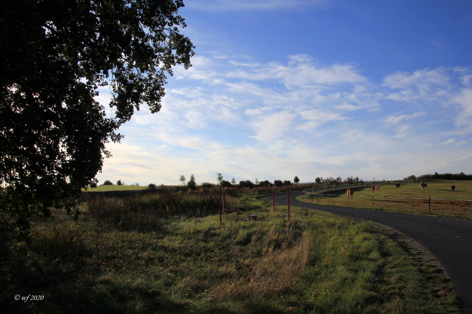 Der Morgen Foto & Bild | tiere, landschaft, rund um dd Bilder auf ...