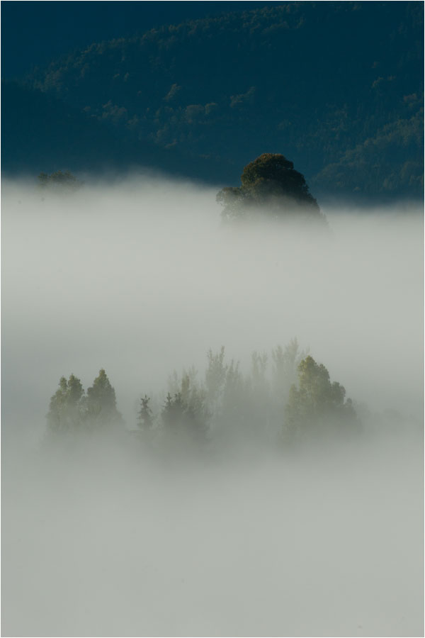 Der-Morgen Foto & Bild | jahreszeiten, herbst, landschaft Bilder auf ...