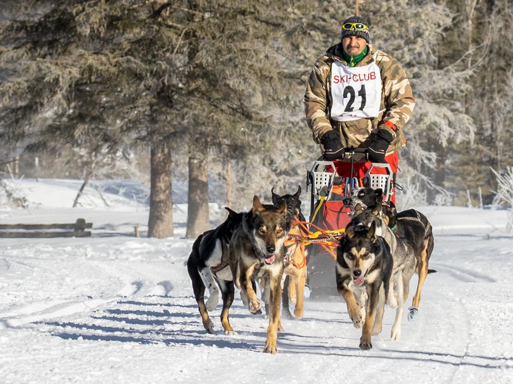 Der Musher Foto & Bild | monatswettbewerbe, 2020, 01 menschen - winter ...